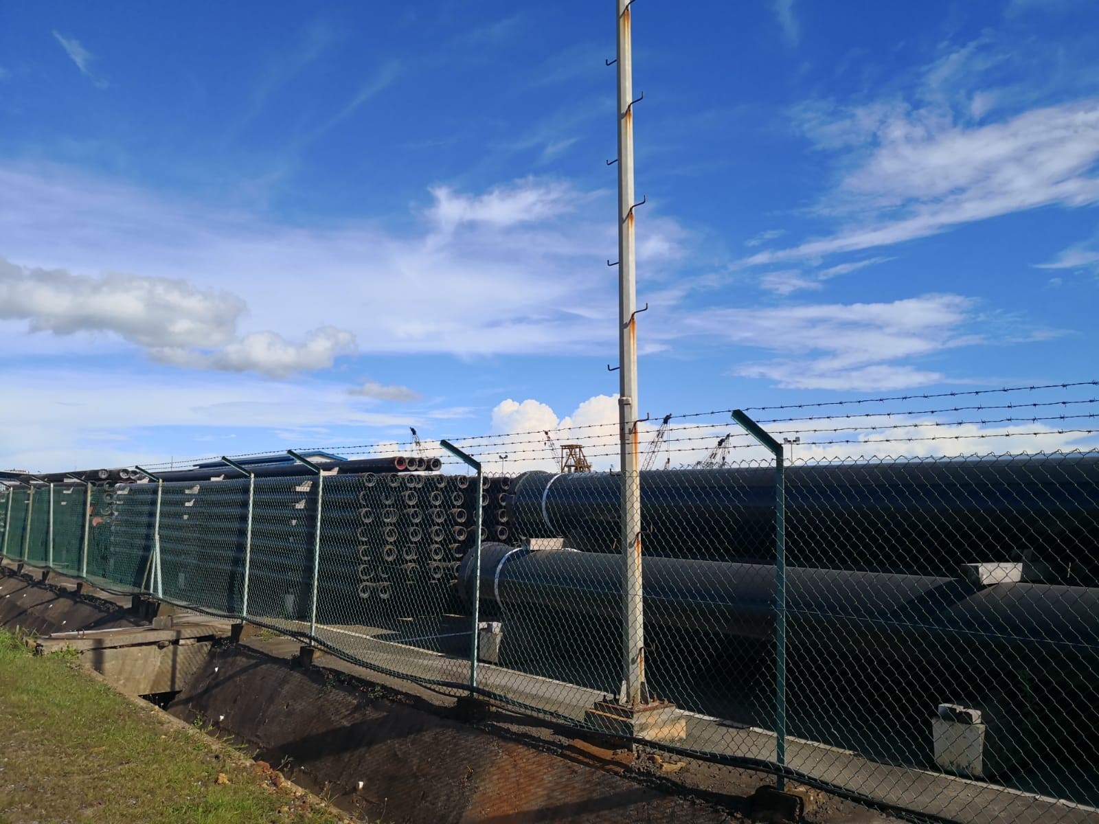 TMS Logistics Network